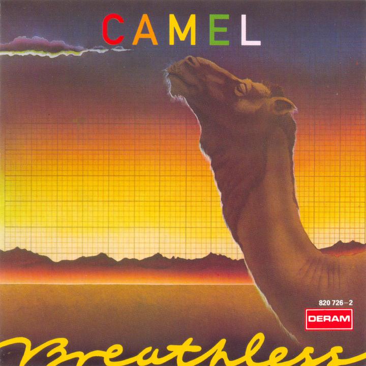 Camel – Breathless - 知乎