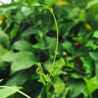 andyanancy 的想法: 唐诗采撷168 | #女孩名