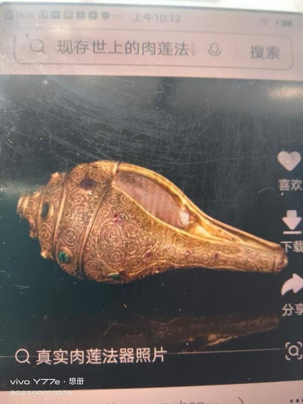 龍戰乾坤 的想法: 肉莲花是什么东西（肉莲法器是什么意思）肉莲花是什么东西（肉莲法器是什么意思）肉莲花是什么东西本站最近更新了讲述密宗的一些 ...