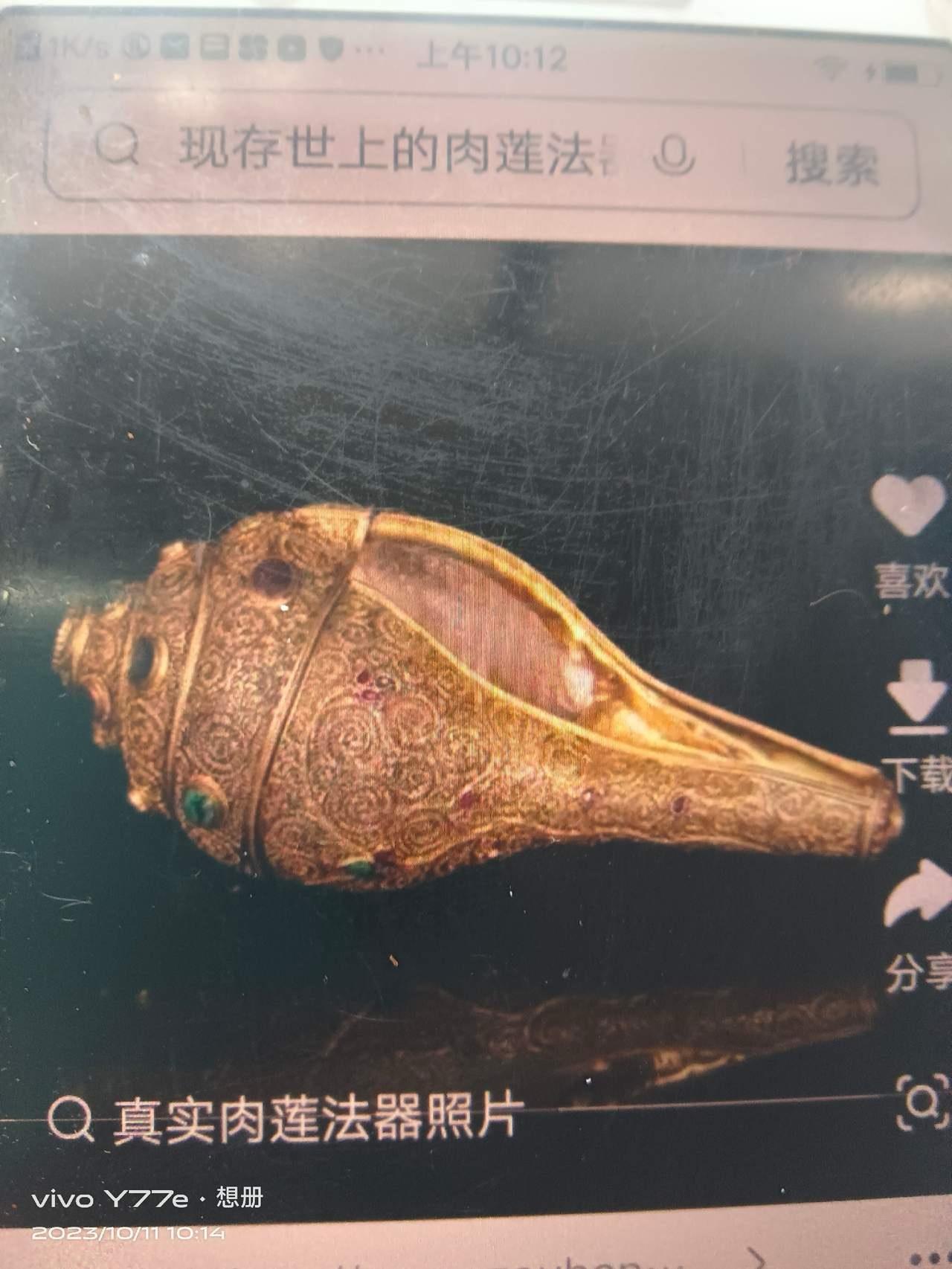 龍戰乾坤 的想法: 肉莲花是什么东西（肉莲法器是什么意思）肉莲花是什么东西（肉莲法器是什么意思）肉莲花是什么东西本站最近更新了讲述密宗的一些 ...