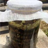 cilicili超香 - 知乎