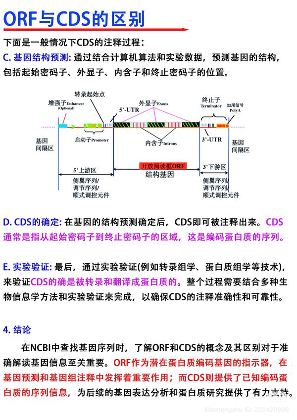 莫轩 的想法: ORF ≠ CDS | ORF和CDS都是分子生物学的常用概念，但为什么有些时候要称CDS，有些时候要称为ORF呢？简单… - 知乎
