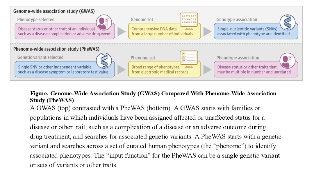 科研小凯 的想法: PheWAS教程1--定义流程应用 | PubMed检索“(PheWAS) AND (Mendelian ...