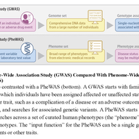 科研小凯 的想法: PheWAS教程1--定义流程应用 | PubMed检索“(PheWAS) AND (Mendelian randomization)”，仅有63篇文章，且多为一区 ...