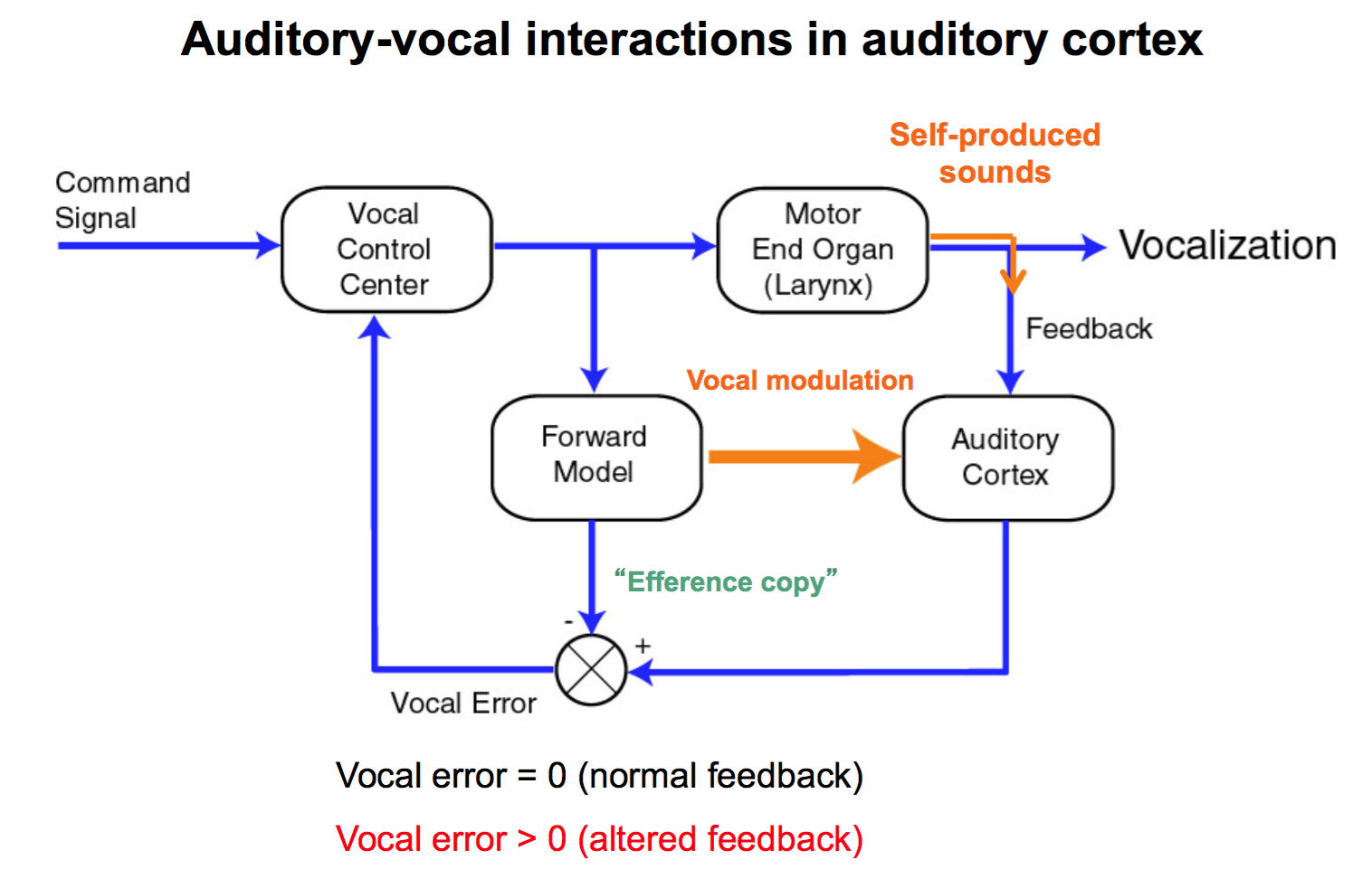 听自己的录音时，为什么会觉得自己的声音陌生？该录音声就是别人听到的你的声音么？ - 知乎