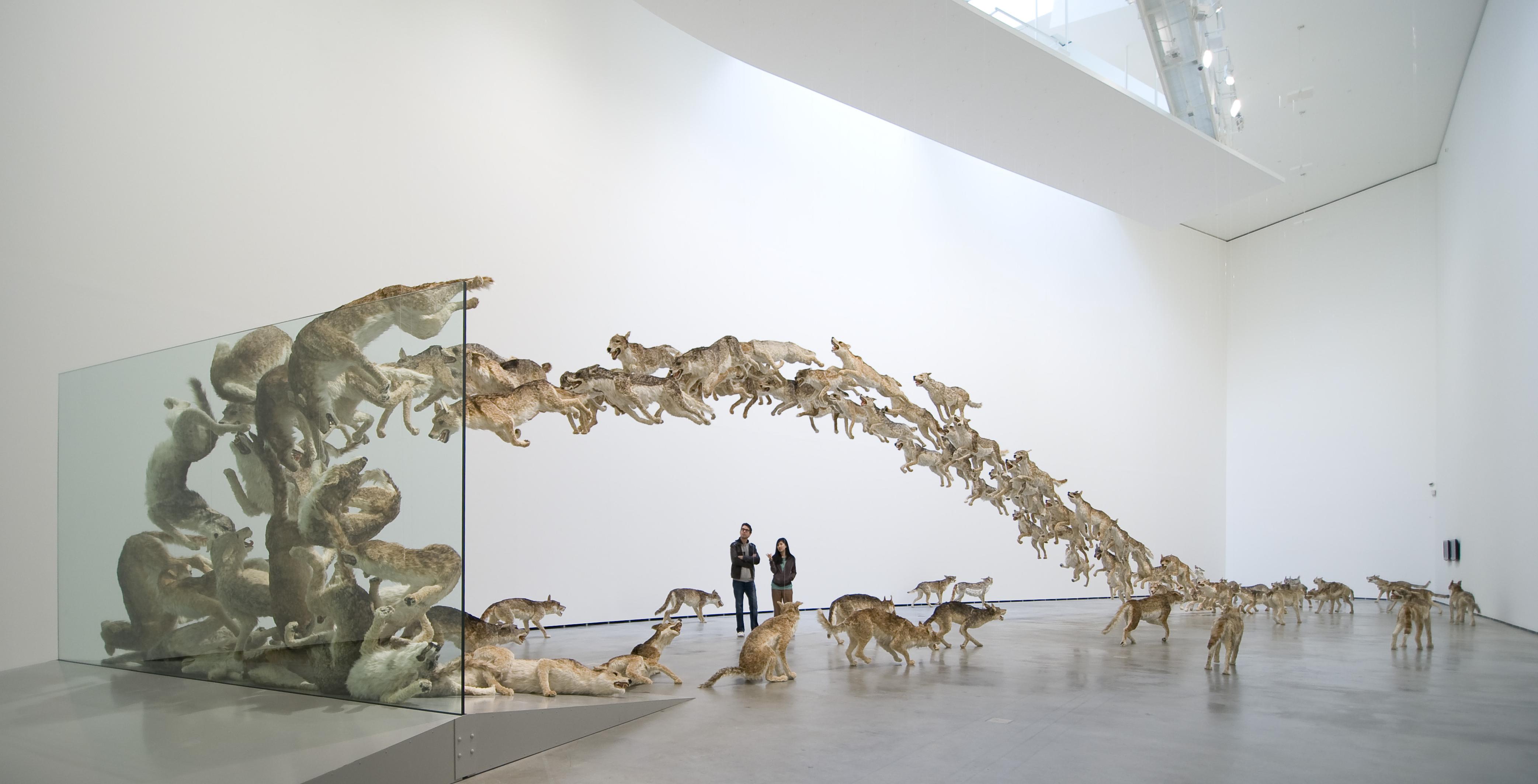 当代装置艺术有哪些流派？各有哪些代表作？ - 知乎