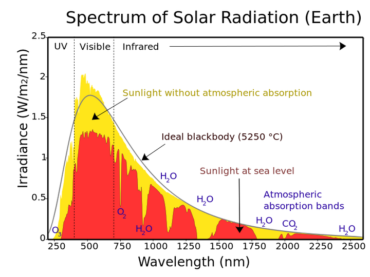 为什么很多植物吸收能量较高和较低的蓝紫光与红色光，却将绿色光反射？ - 知乎