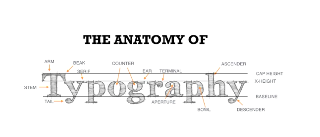 Typography相关术语的翻译和解释？ - 知乎