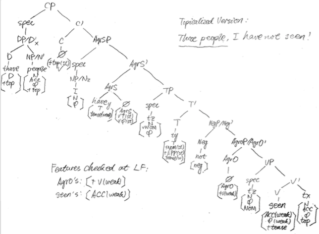 如何使用乔姆斯基的最简方案（minimalist program）分析topicalized sentences？ - 知乎