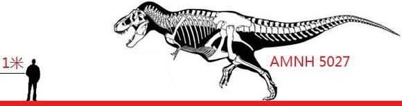 霸王龙的天敌是什么？ - 知乎