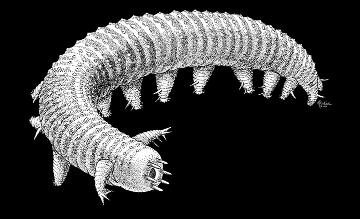 世界上存在过哪些奇特的古生物？ - 知乎