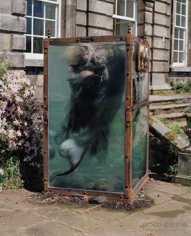 如何评价 Tim Walker 的摄影作品？ - 知乎