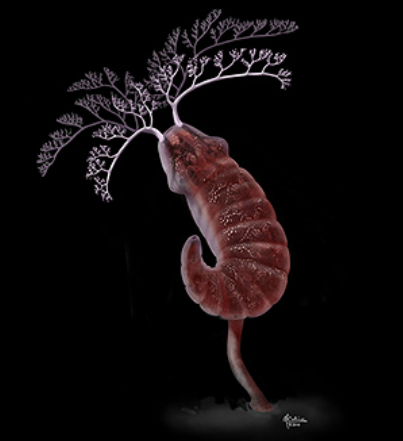 世界上存在过哪些奇特的古生物？ - 知乎