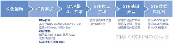 什么是STR？STR鉴定结果可说明的问题是什么？为什么要进行STR鉴定？ - 知乎