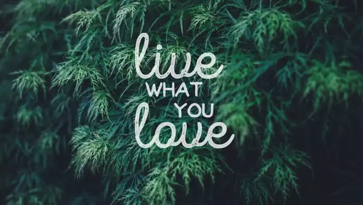 有哪些电脑壁纸是你不想换的？ - 知乎