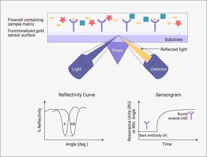 什么是SPR分子互作技术？ - 知乎