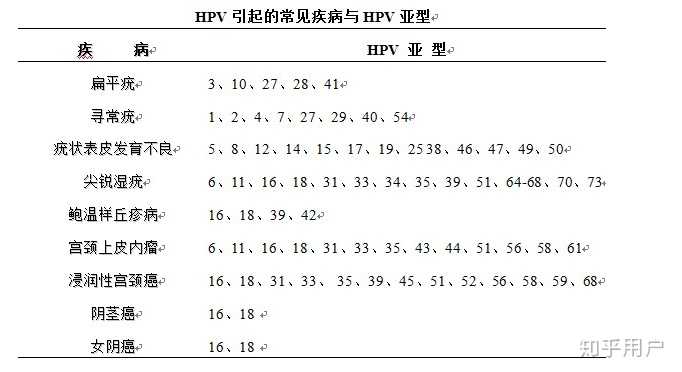 hpv51对男性的危害是什么？ - 知乎