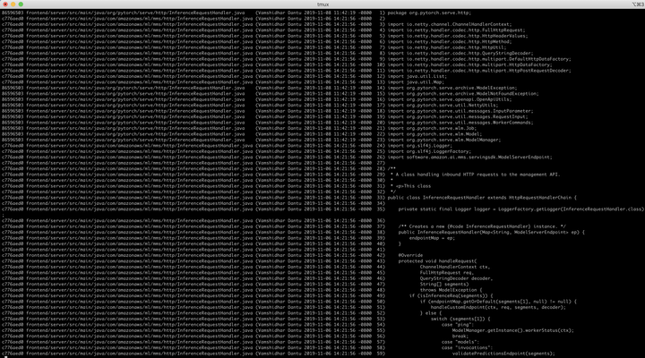 如何评价 Pytorch 在 2020 年 4 月推出的 Torchserve? 知乎