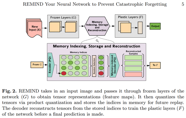 为什么神经网络会存在灾难性遗忘(catastrophic forgetting)这个问题？ - 知乎