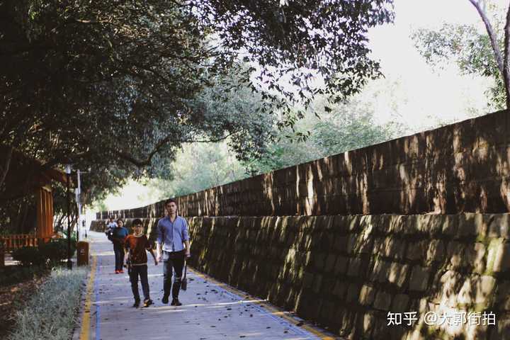 佳能R10与尼康Z50二代留哪个好? - 知乎