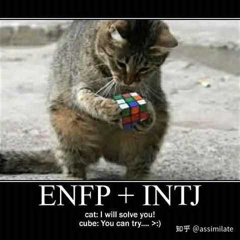 和INTJ恋爱是怎样的体验？ - 知乎