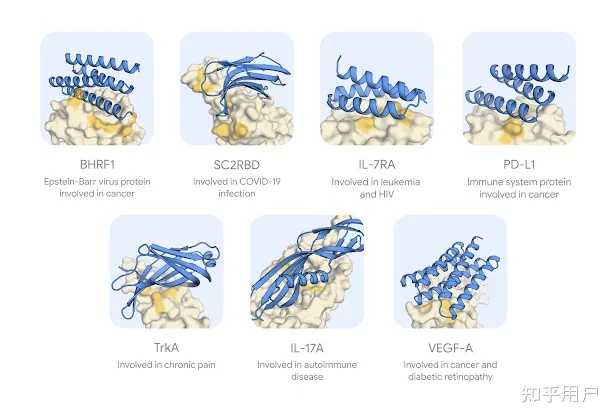 如何评价 DeepMind 最新模型 AlphaProteo？ - 知乎