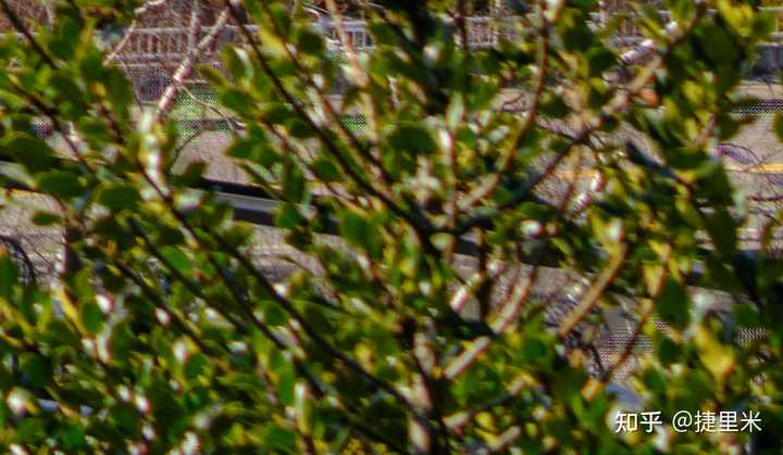 著名相机测评网站DPReview将于2023年4月10日关停，是否预示着民用数字影像产品的市场衰退？ - 知乎