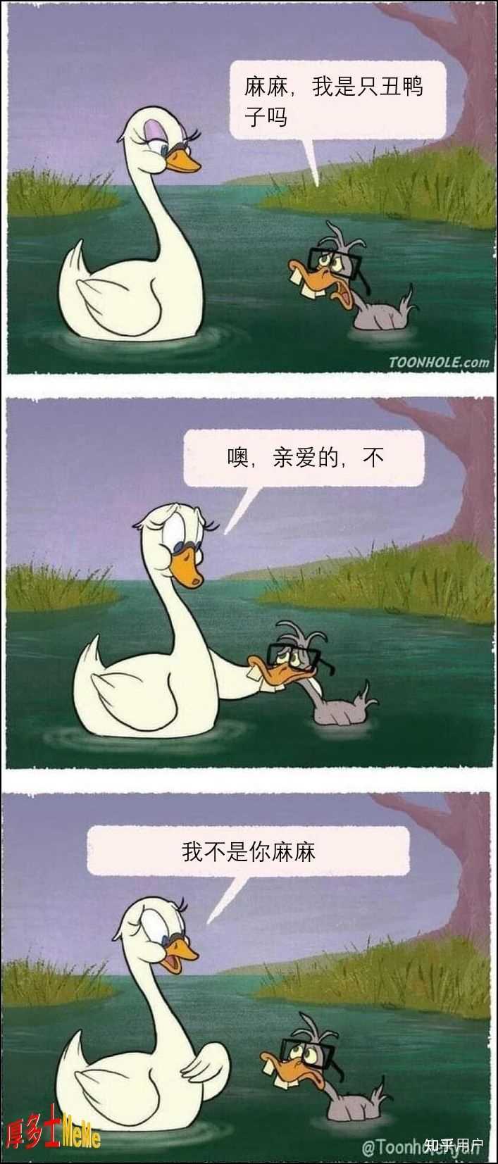 你看过的最有意思的meme、梗图有哪些? - 知乎
