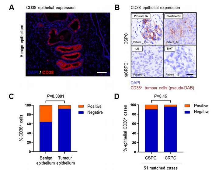 CD38与CD138阳性是什么意思呢？ - 知乎