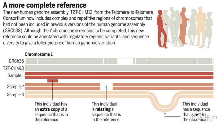 迄今最完整的人类基因组测序结果发布在 Science，相比之前有哪些突破？会带来哪些价值？ - 知乎