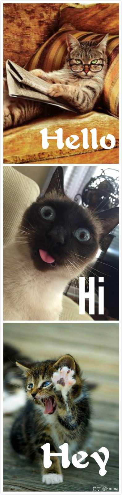 打招呼用 Hello 跟用 Hi 或者用 Hey 的区别是什么？ - 知乎