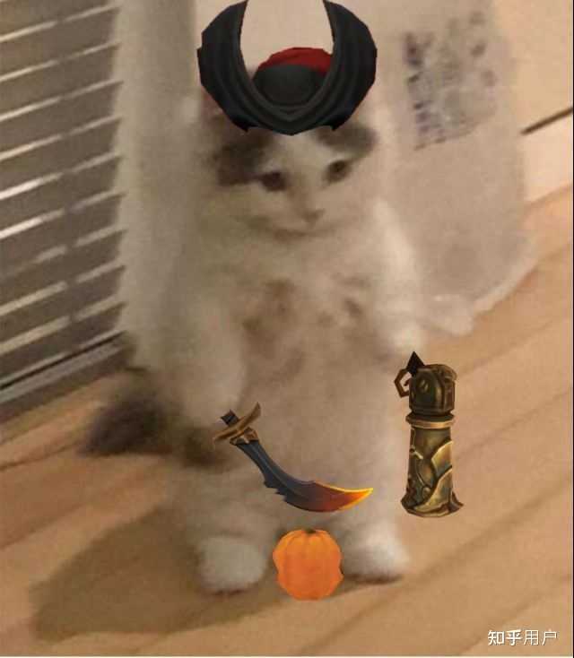 你都有哪些《英雄联盟》魔法猫咪的表情包？ - 知乎