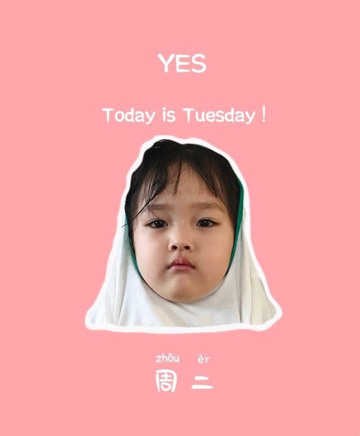 有哪些一周七天系列表情包？ - 知乎