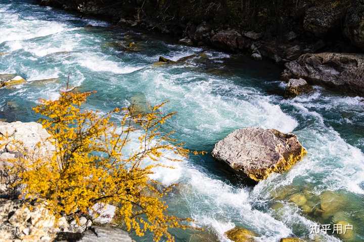 如何看待佳能r62大幅降价？ - 知乎