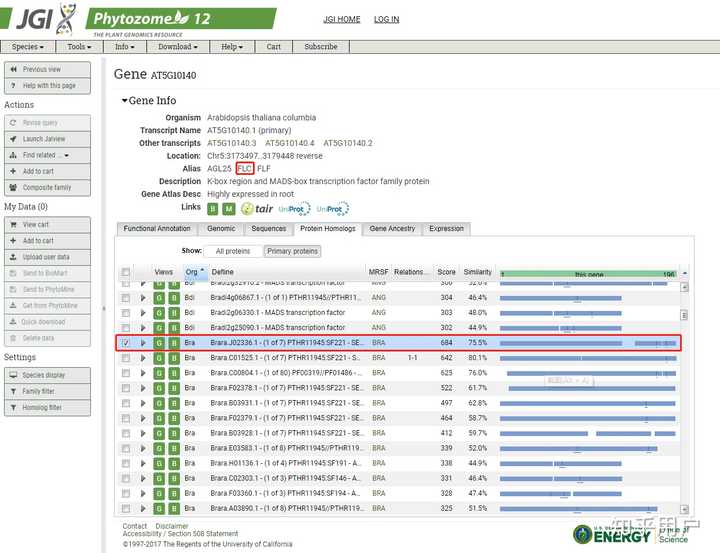 知道拟南芥的基因，如何在油菜中搜索同源基因？ - 知乎