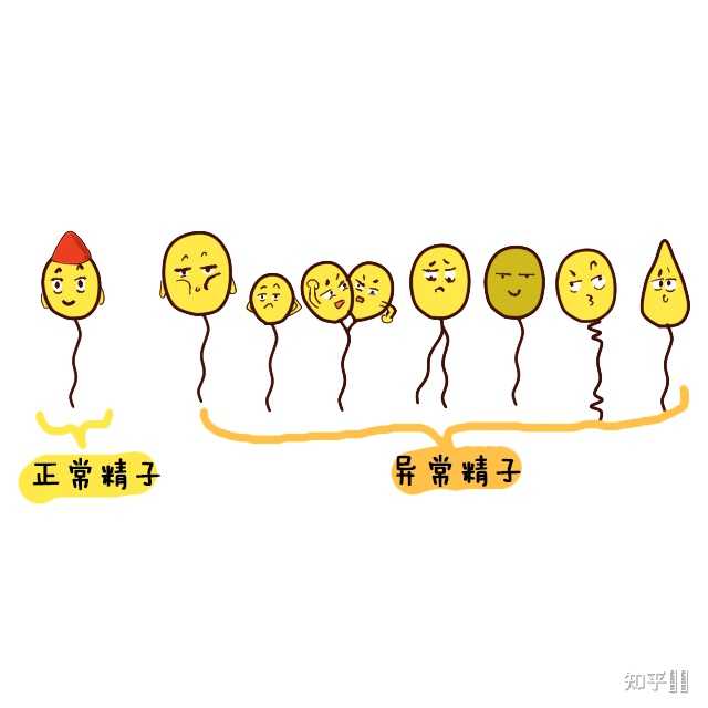 男性长期不射精会对身体有危害吗 知乎
