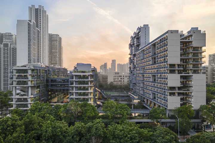 深圳国际交流书院的教学质量怎么样？ - 知乎