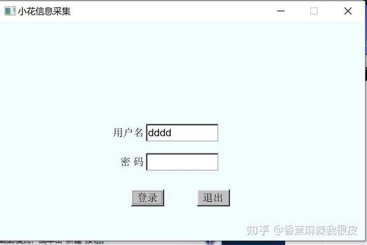 rust语言GUI开发实践？ - 知乎