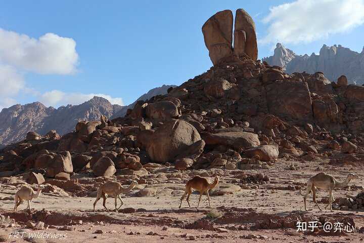沙特阿拉伯有什么值得打卡的景点？ - 知乎