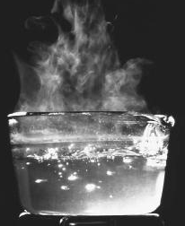 vapor 和steam 有什么区别？ - 知乎