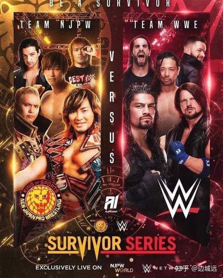 有没有人科普下wwe，wcw，smackdown，raw，aew，nxt，roh等等节目之间的区别? - 知乎