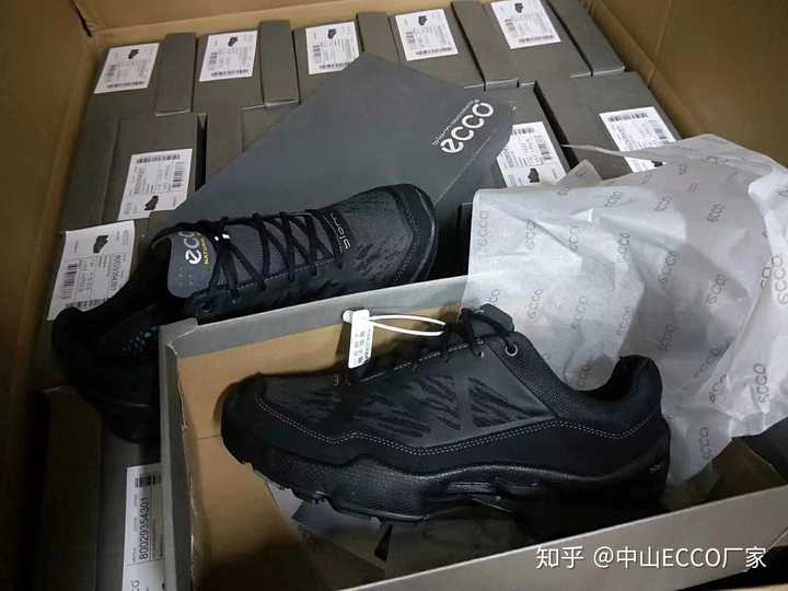 ecco好在哪儿？ - 知乎