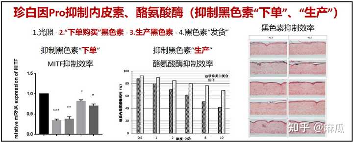 如何评价新兴美白成分珍白因pro,和烟酰胺相比有什么不同? 知乎