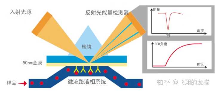 SPR技术原理是什么？ - 知乎