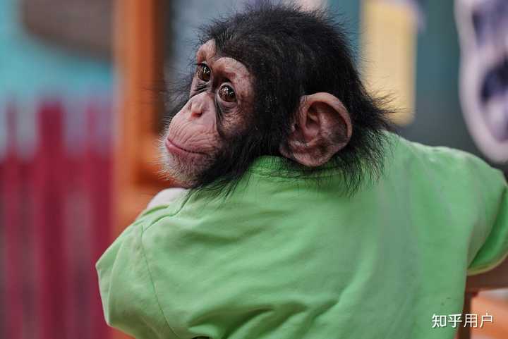 尼康z63和索尼a7m4选哪个？ - 知乎