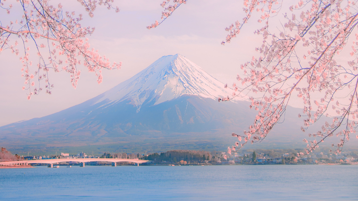 有哪些很适合春天的电脑壁纸？ - 知乎