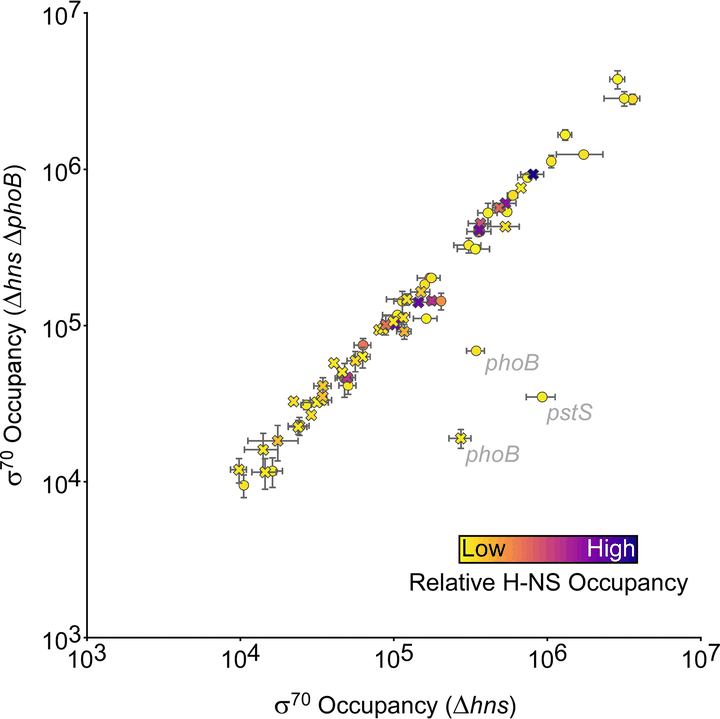 蛋白质DNA互作研究，选ChIP还是CUT&Tag? - 知乎