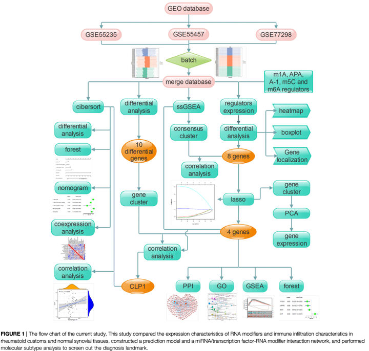 一般SCI论文中漂亮的流程图都是用什么软件画的？ - 知乎