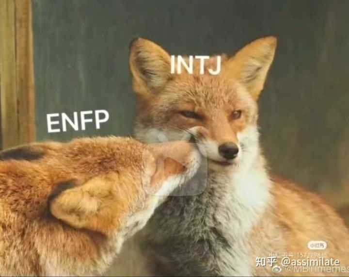 和INTJ恋爱是怎样的体验？ - 知乎