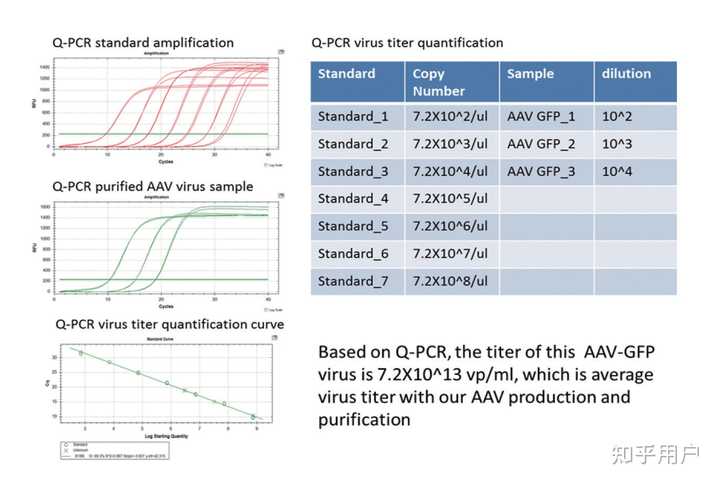 怎么检测AAV的病毒滴度？ - 知乎